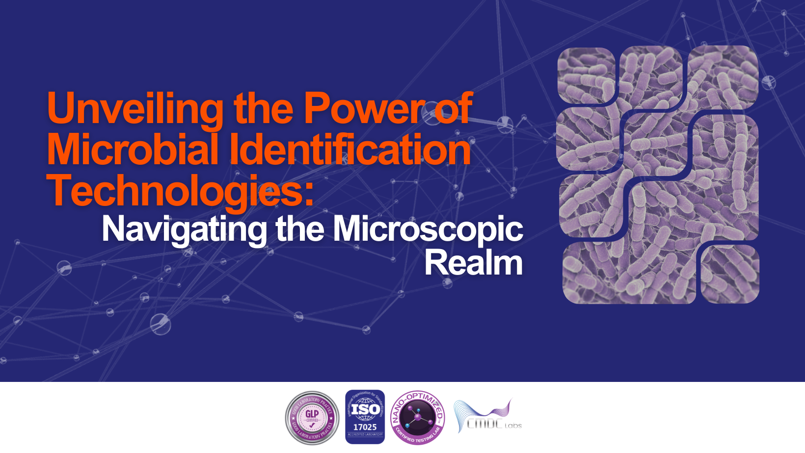 Unveiling the Power of Microbial Identification Technologies: Exploring the Microscopic Realm ...