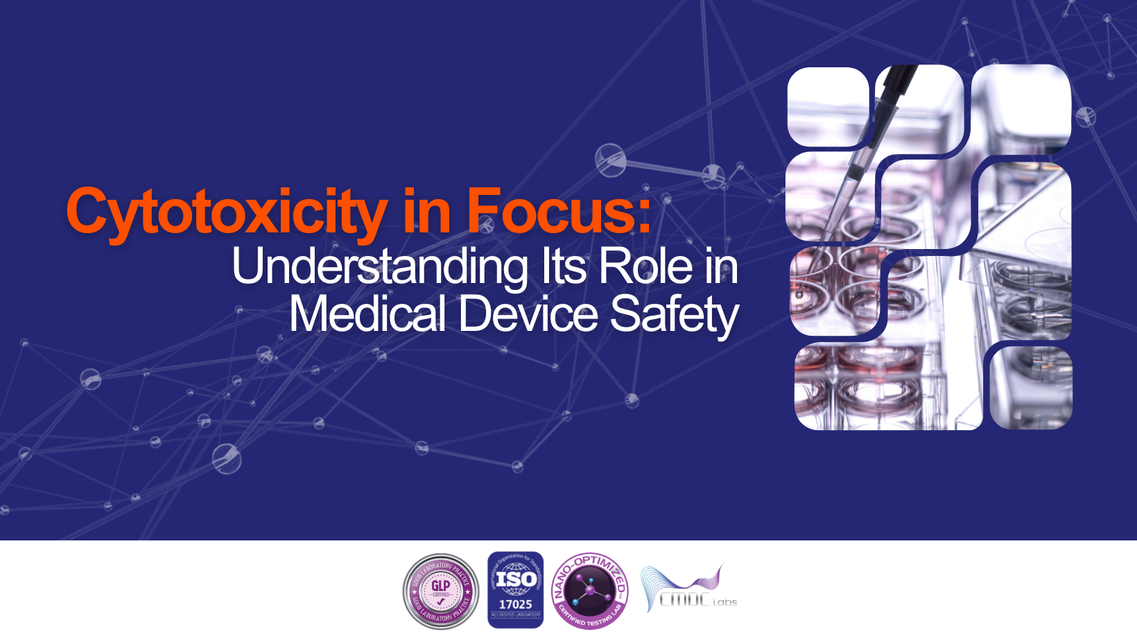 Cytotoxicity in Focus: Understanding Its Role in Medical Device Safety ...