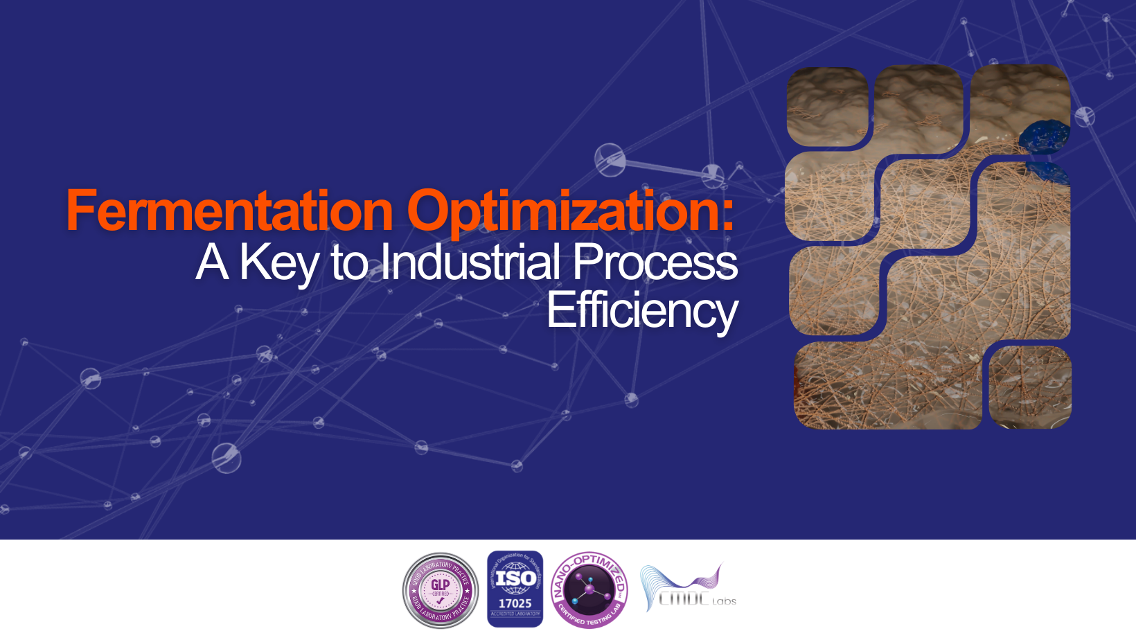 Fermentation Optimization: A Key to Industrial Process Efficiency ...