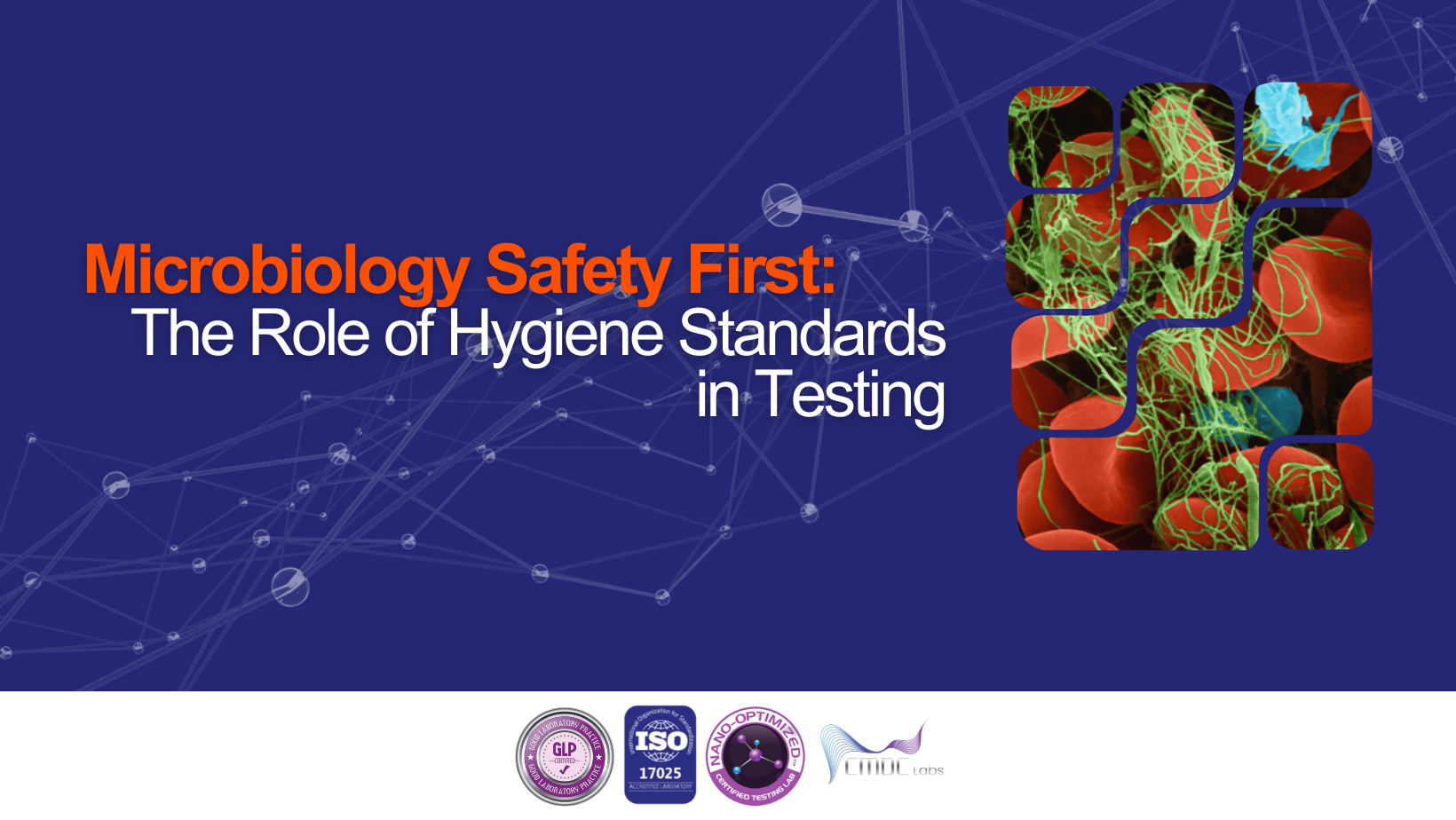 Microbiology Safety First: The Role of Hygiene Standards in Testing ...