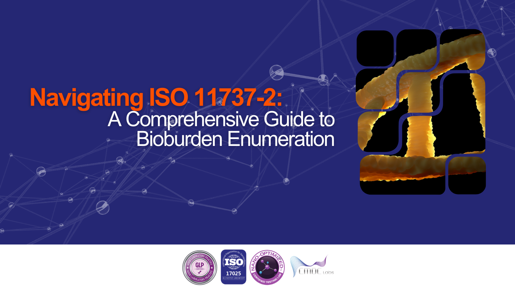 Evaluating ISO 11737-2: A Comprehensive Guide to Bioburden Enumeration ...