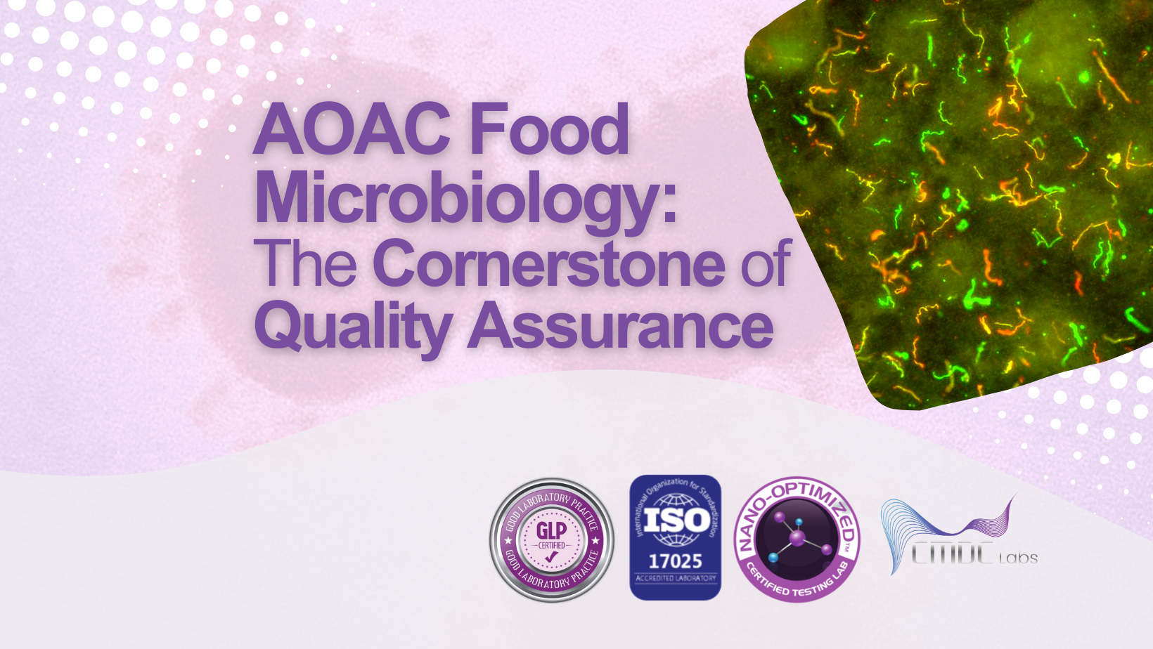Unveiling AOAC Food Microbiology: Ensuring Quality Assurance in Food ...